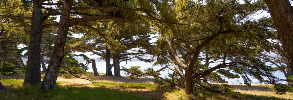 Easements – Del Monte Forest Conservancy