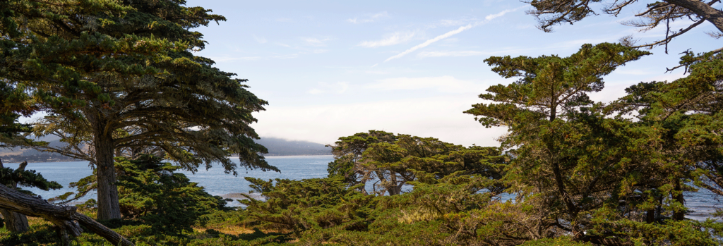 Properties – Del Monte Forest Conservancy