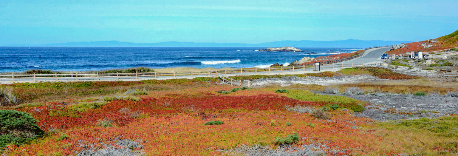 History – Del Monte Forest Conservancy