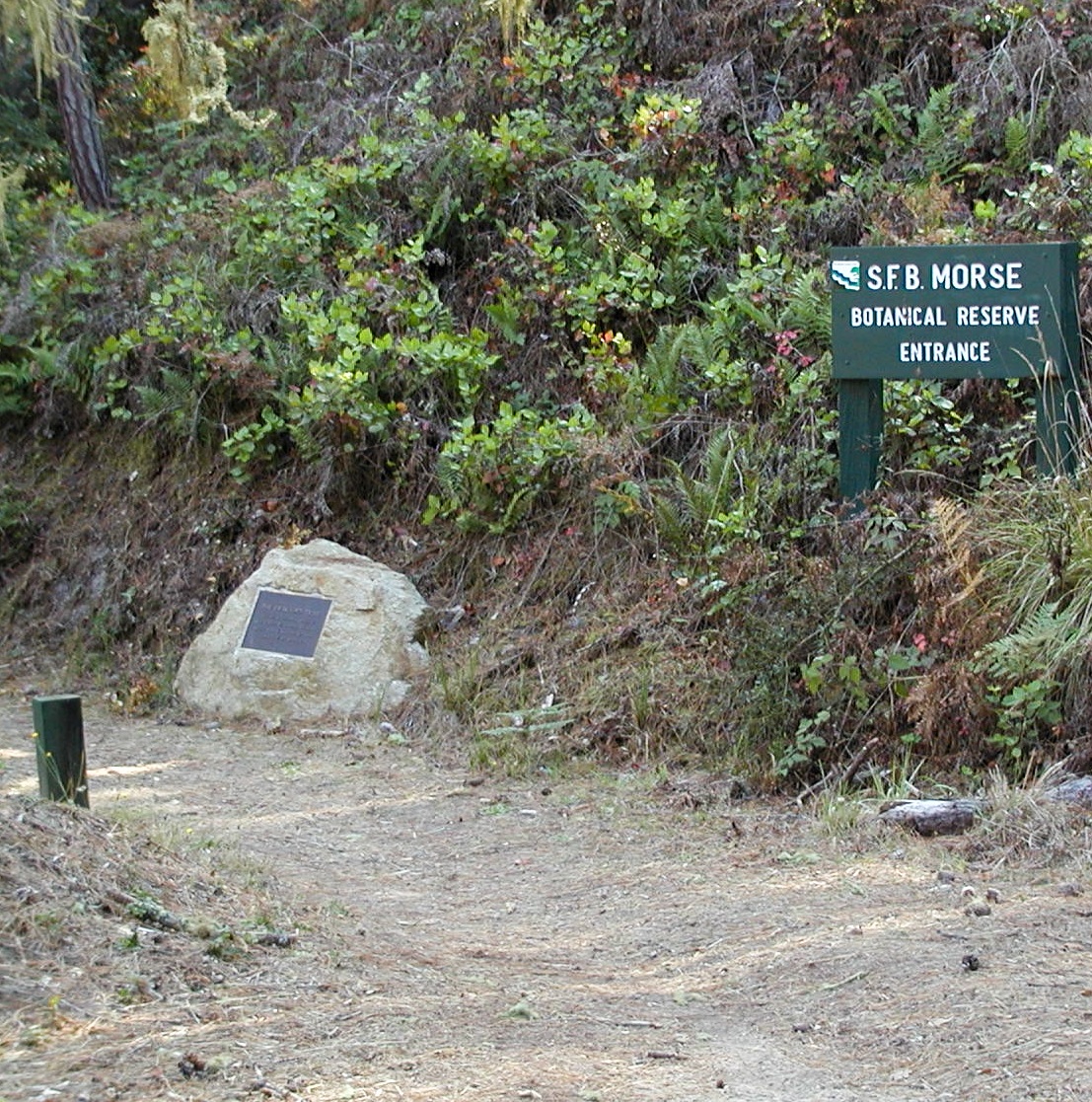 Properties – Del Monte Forest Conservancy