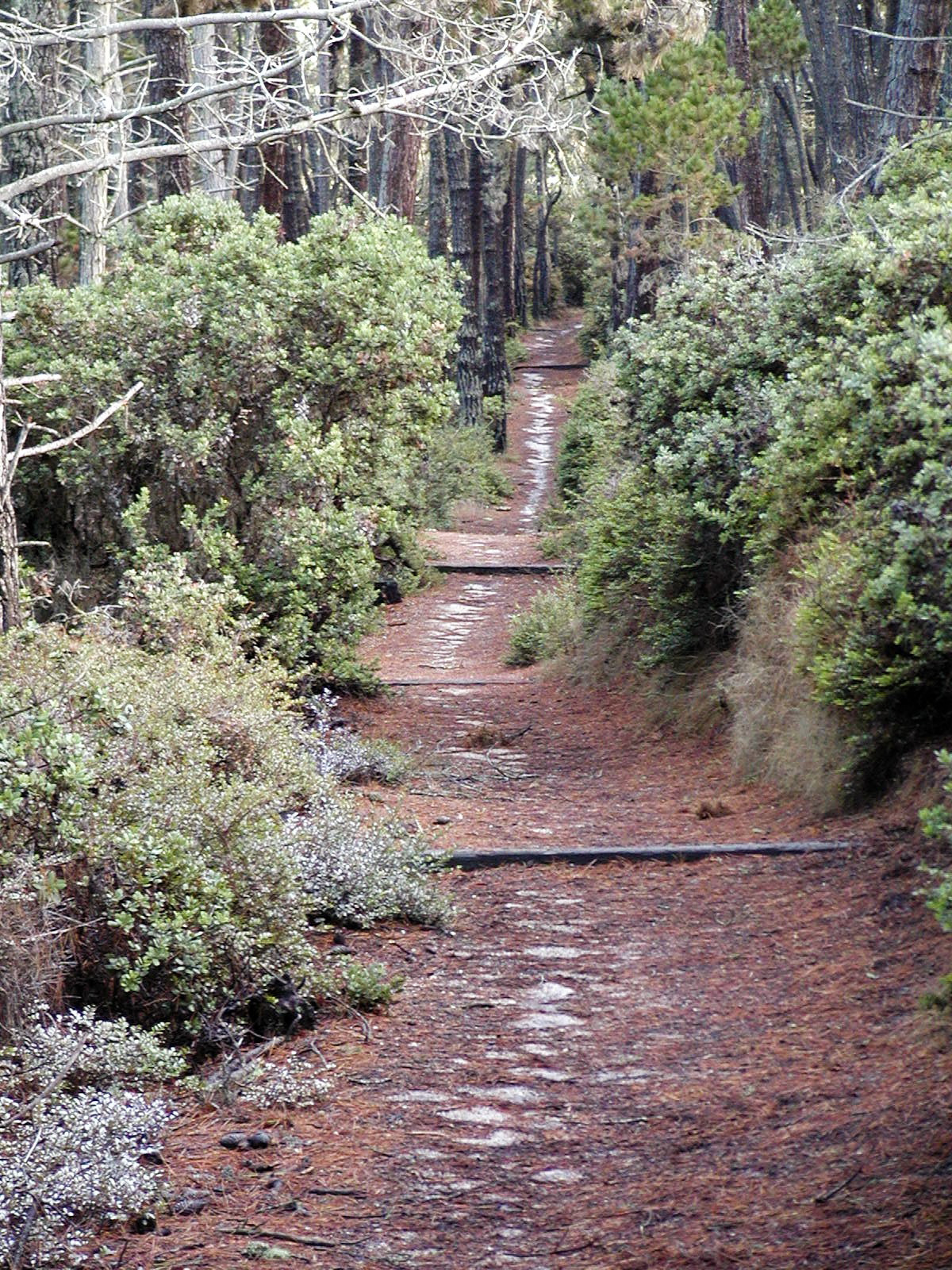 Properties – Del Monte Forest Conservancy