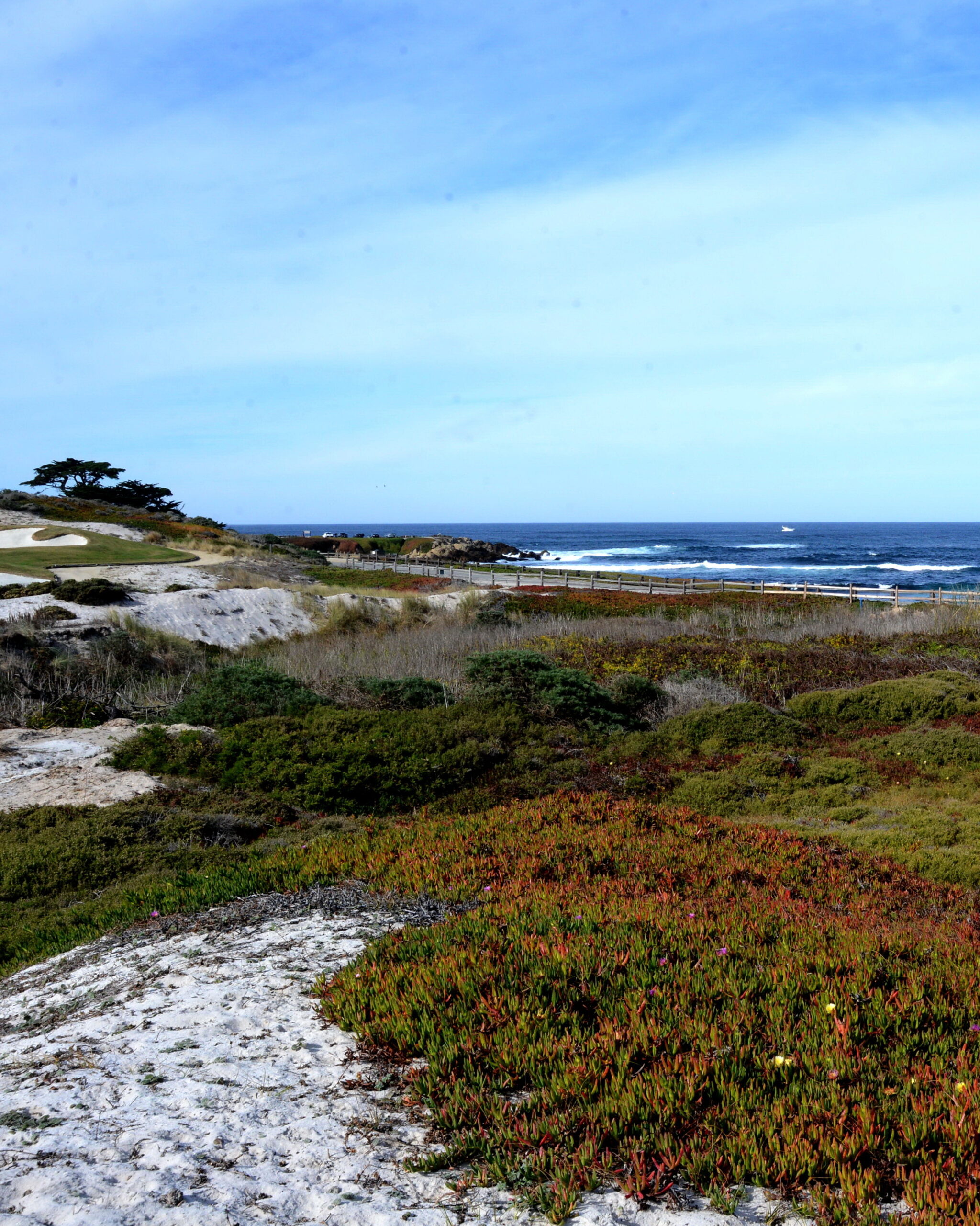 Properties – Del Monte Forest Conservancy