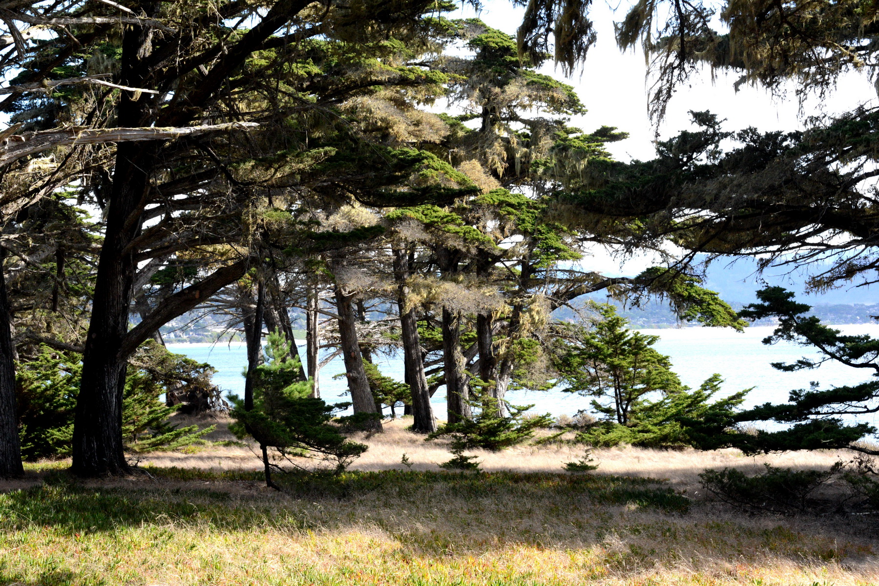 Properties – Del Monte Forest Conservancy